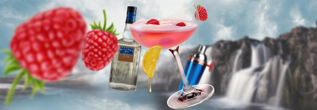 Best Gin Ever – House Of Spirits